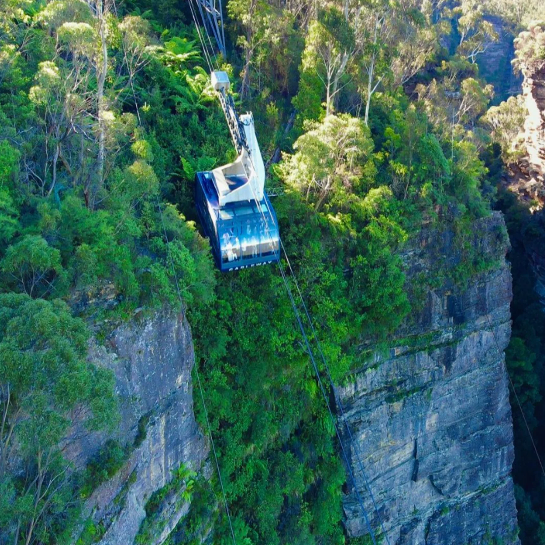 Blue Mountains National Park
